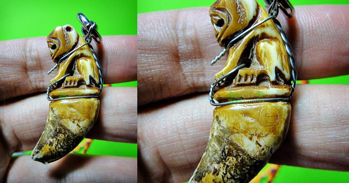 UNIQUE OLD PENDANT CARVE FANG TIGER TOOTH THAI AMULET POWER PROTECT LP ...