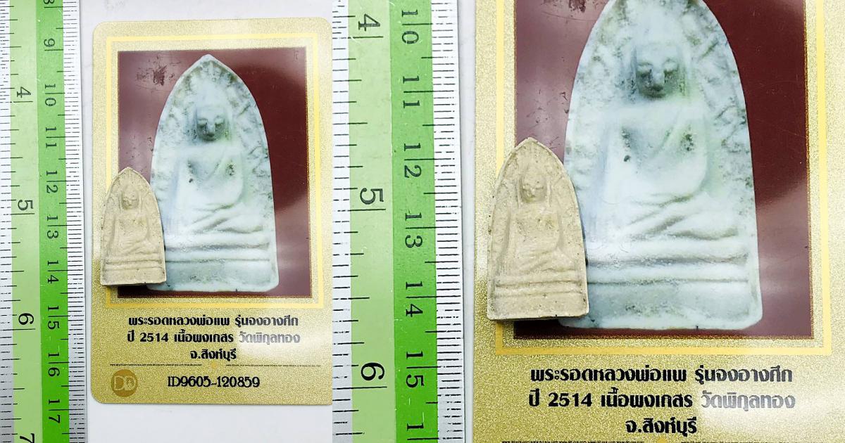 GREAT RICHLY WEALTH MONEY PHAROD LP PAE BE2514 SNAKE ARMY THAI AMULET ...