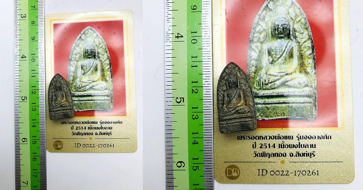 GREAT RICHLY WEALTH MONEY PHAROD LP PAE BE2514 SNAKE ARMY THAI AMULET ...