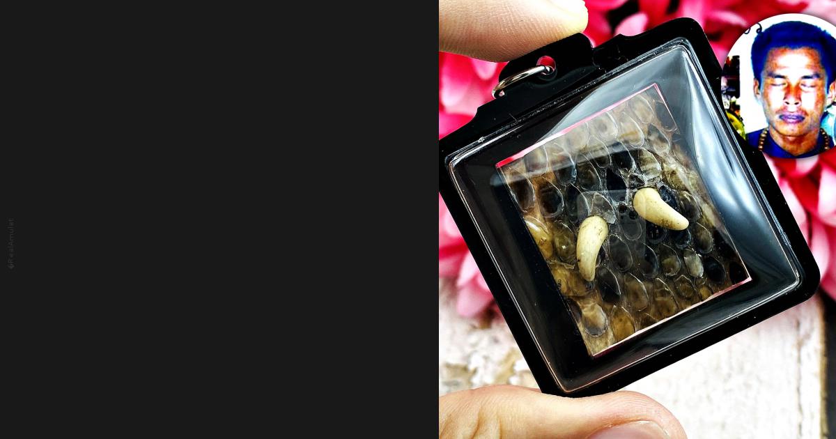 Pendant Cobra Boa Spurs Gambling Money Wealth Lust Charm Penis Thai ...